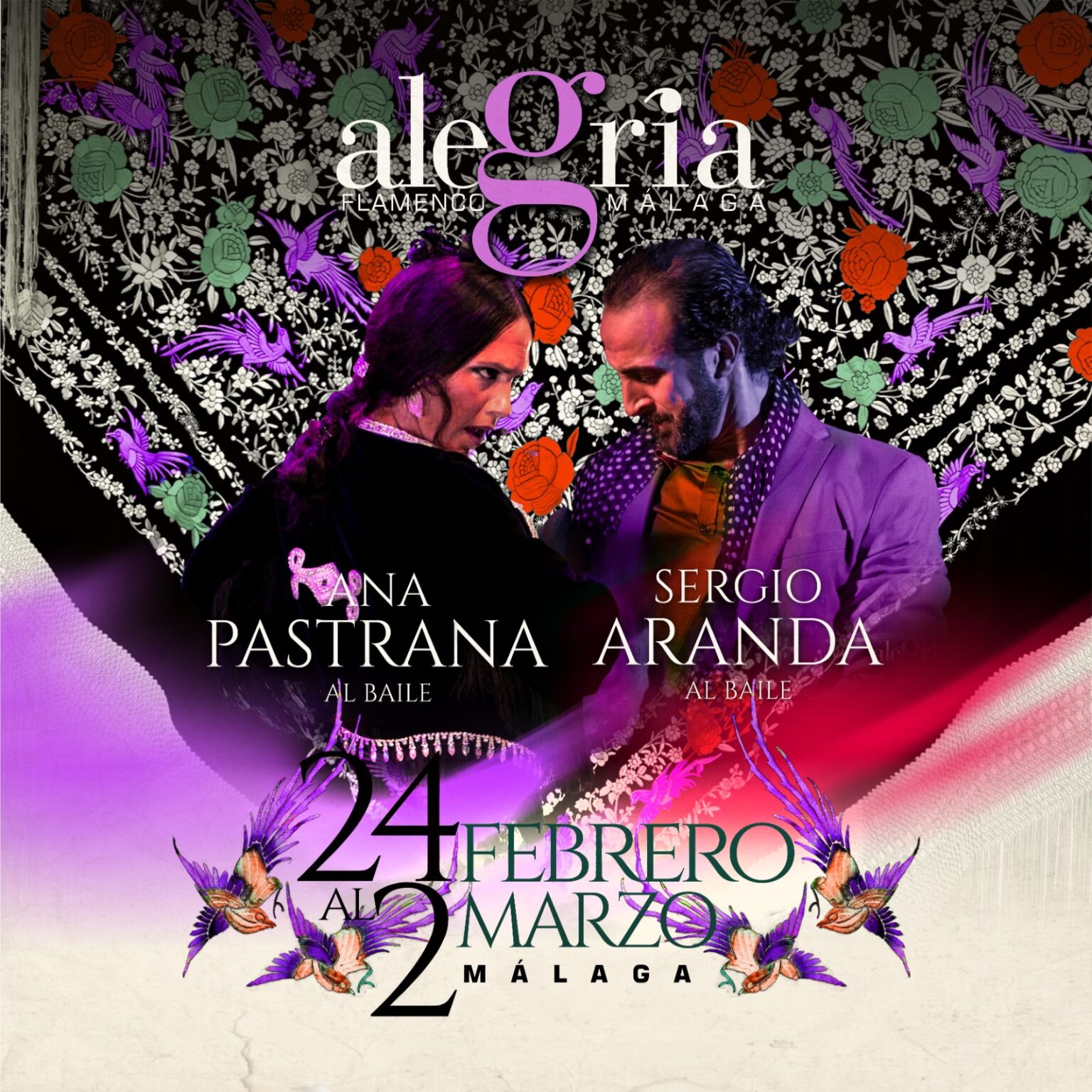 Flamenco en Málaga | Espectáculos Auténticos | Flamenco Alegría